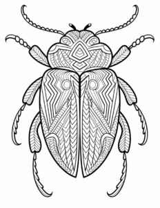 15 Creepy Crawly Beetle Coloring Pages – My Coloring Spot