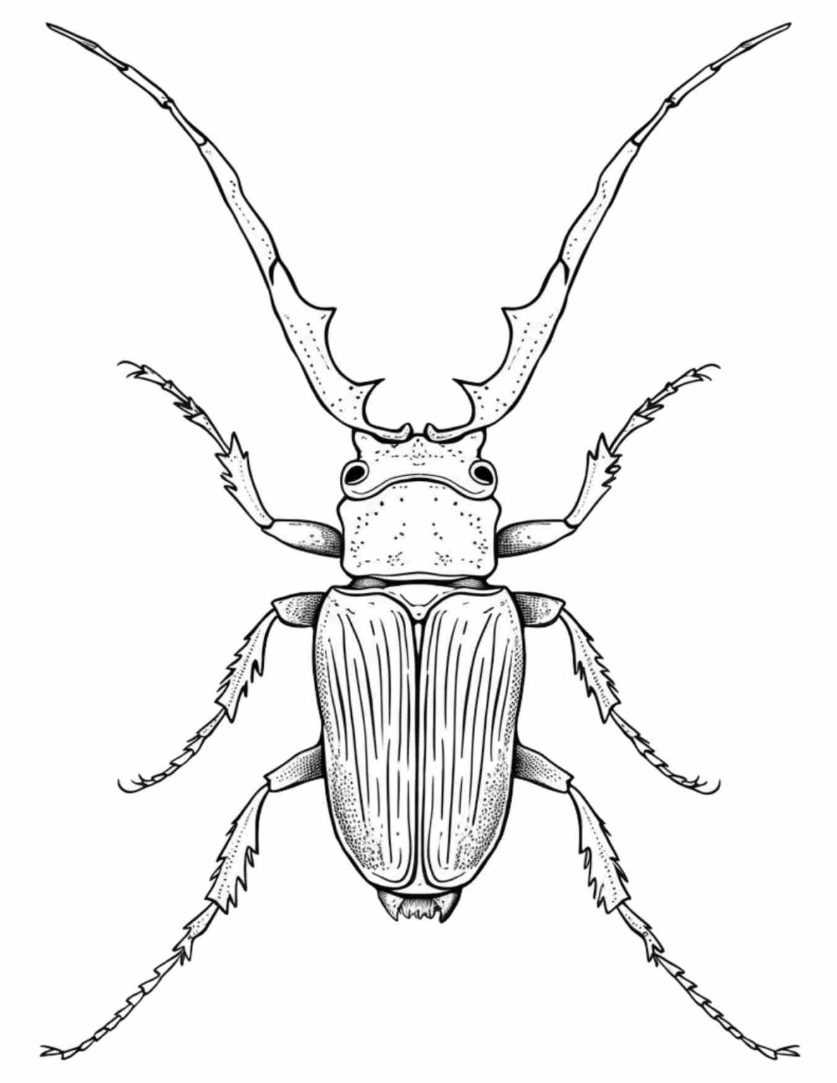 15 Creepy Crawly Beetle Coloring Pages – My Coloring Spot