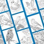 15 Free Bluebird Coloring Pages for Kids and Adults (PDF Printables ...
