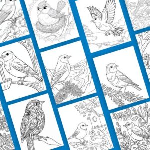 15 Free Bluebird Coloring Pages for Kids and Adults (PDF Printables ...