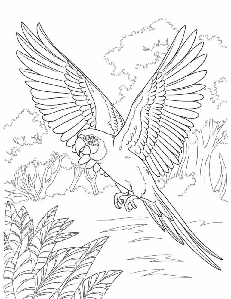 14 Unique Macaw Coloring Pages (Free PDF Printables) – My Coloring Spot