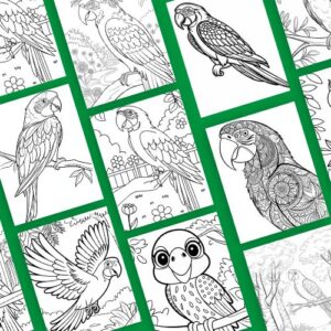 14 Unique Macaw Coloring Pages (Free PDF Printables) – My Coloring Spot