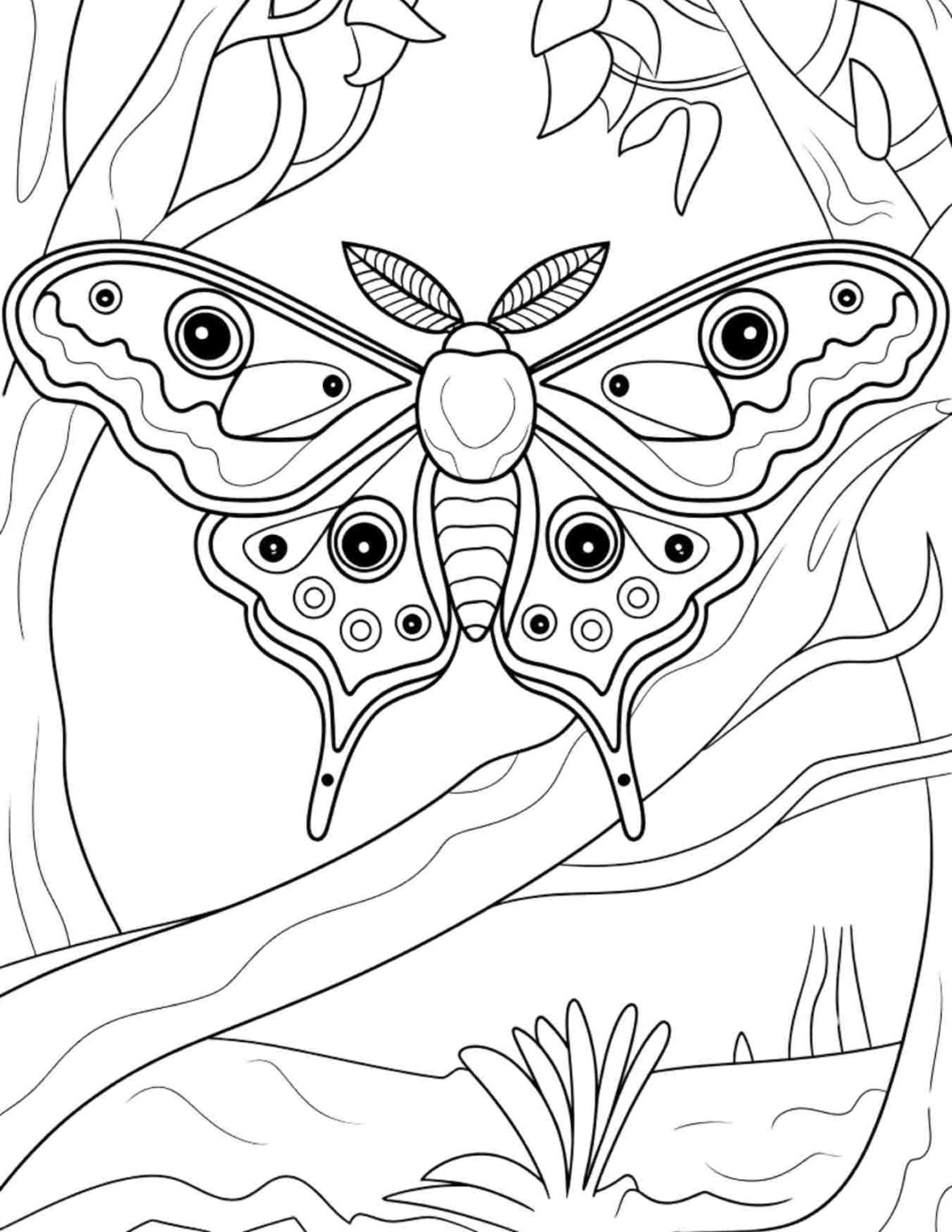 15 Diverse Moth Coloring Pages – My Coloring Spot