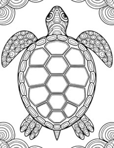 18 Fun Turtle Coloring Pages for Everyone (Free PDF Printables) – My ...