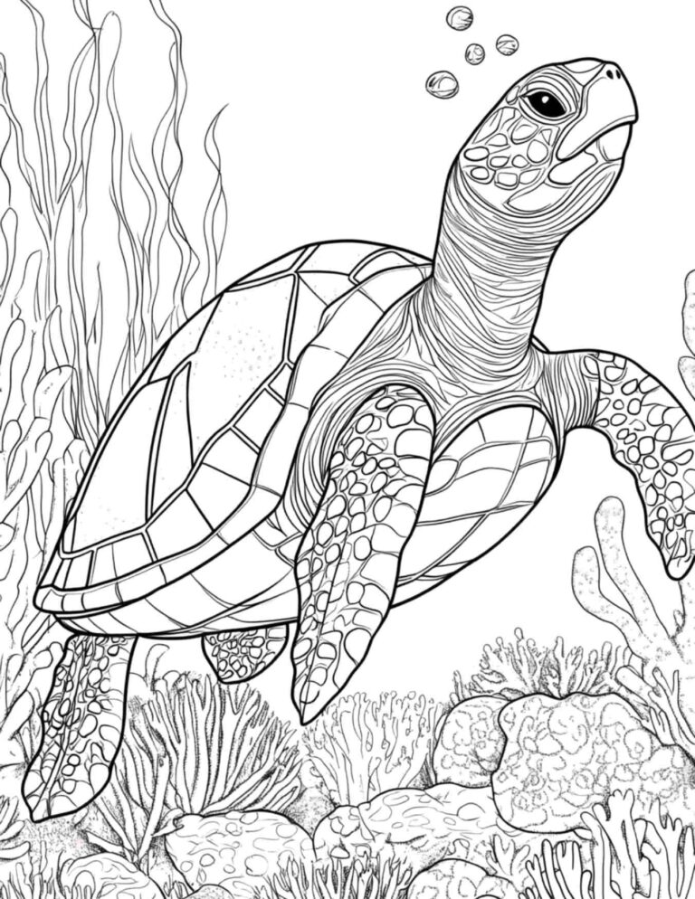 18 Fun Turtle Coloring Pages for Everyone (Free PDF Printables) – My ...