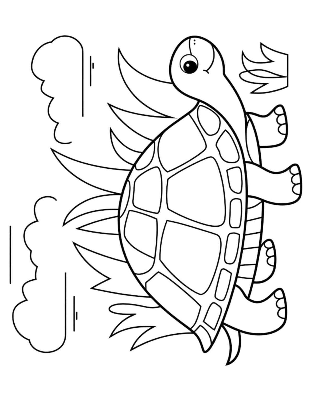 18 Fun Turtle Coloring Pages for Everyone (Free PDF Printables) – My ...