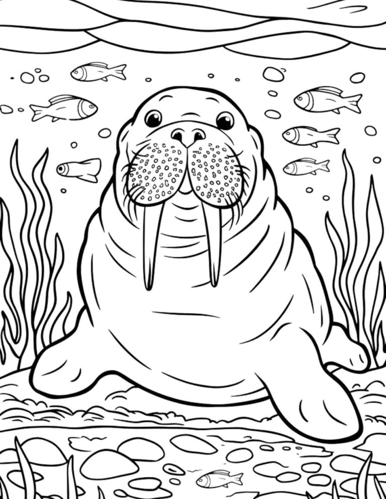 11 Adorable Walrus Coloring Pages (Free PDF Printables) – My Coloring Spot