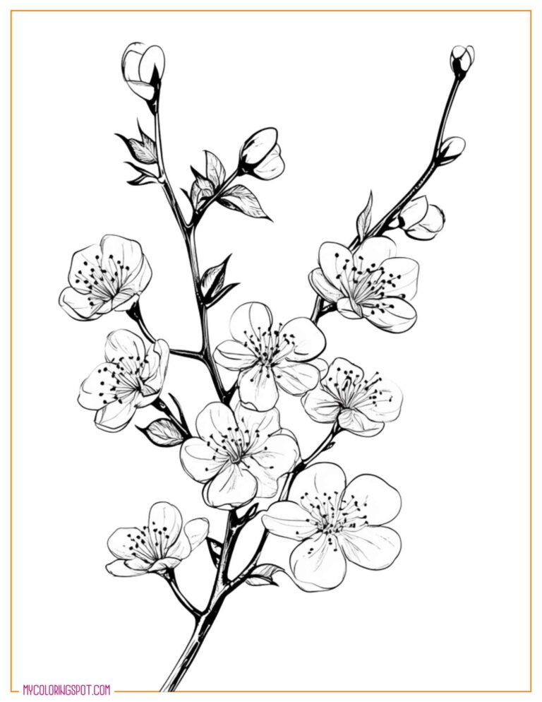 28 Free Coloring Pages for a Spring Burst of Creativity – My Coloring Spot