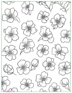 58 Free Flower Coloring Pages for All Ages – My Coloring Spot