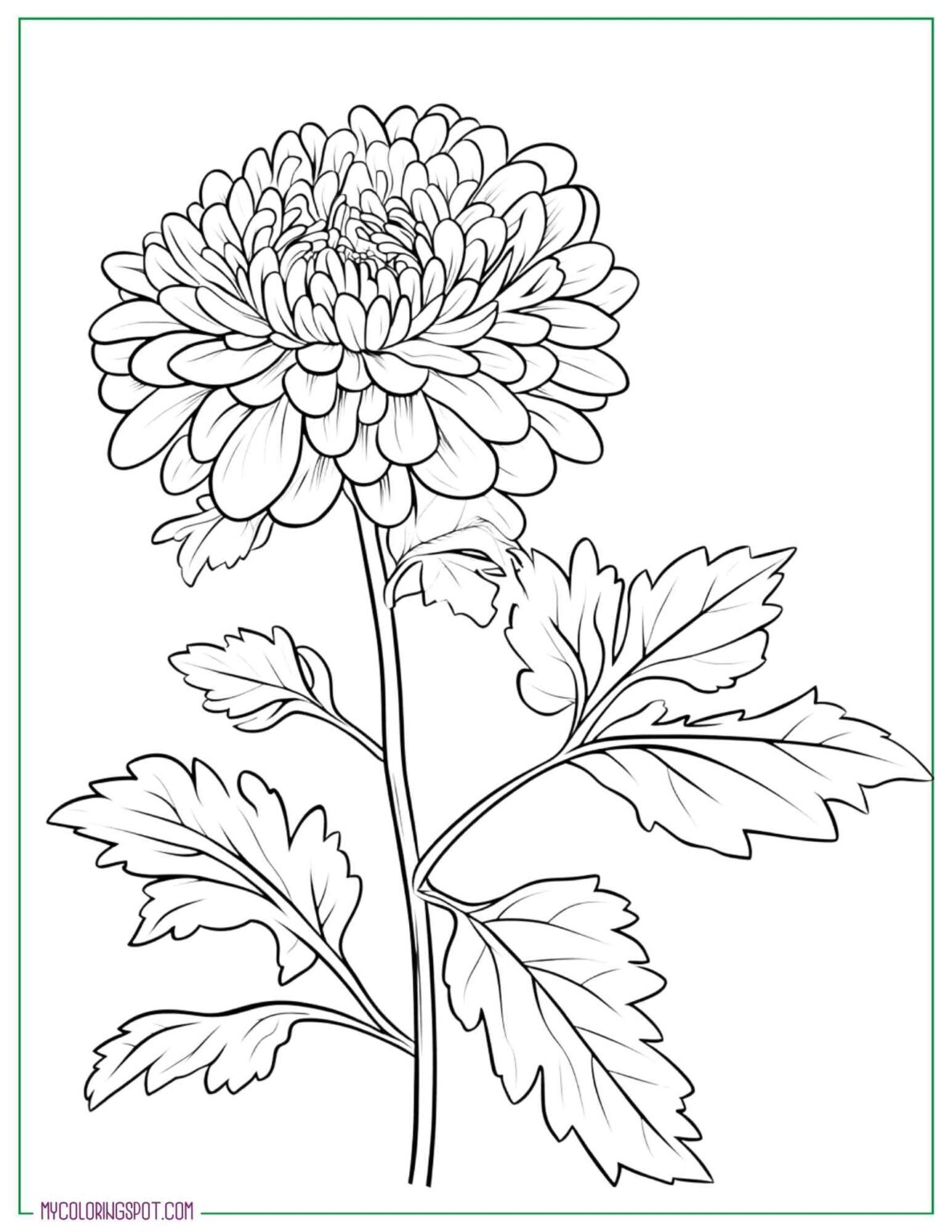 58 Free Flower Coloring Pages for All Ages – My Coloring Spot