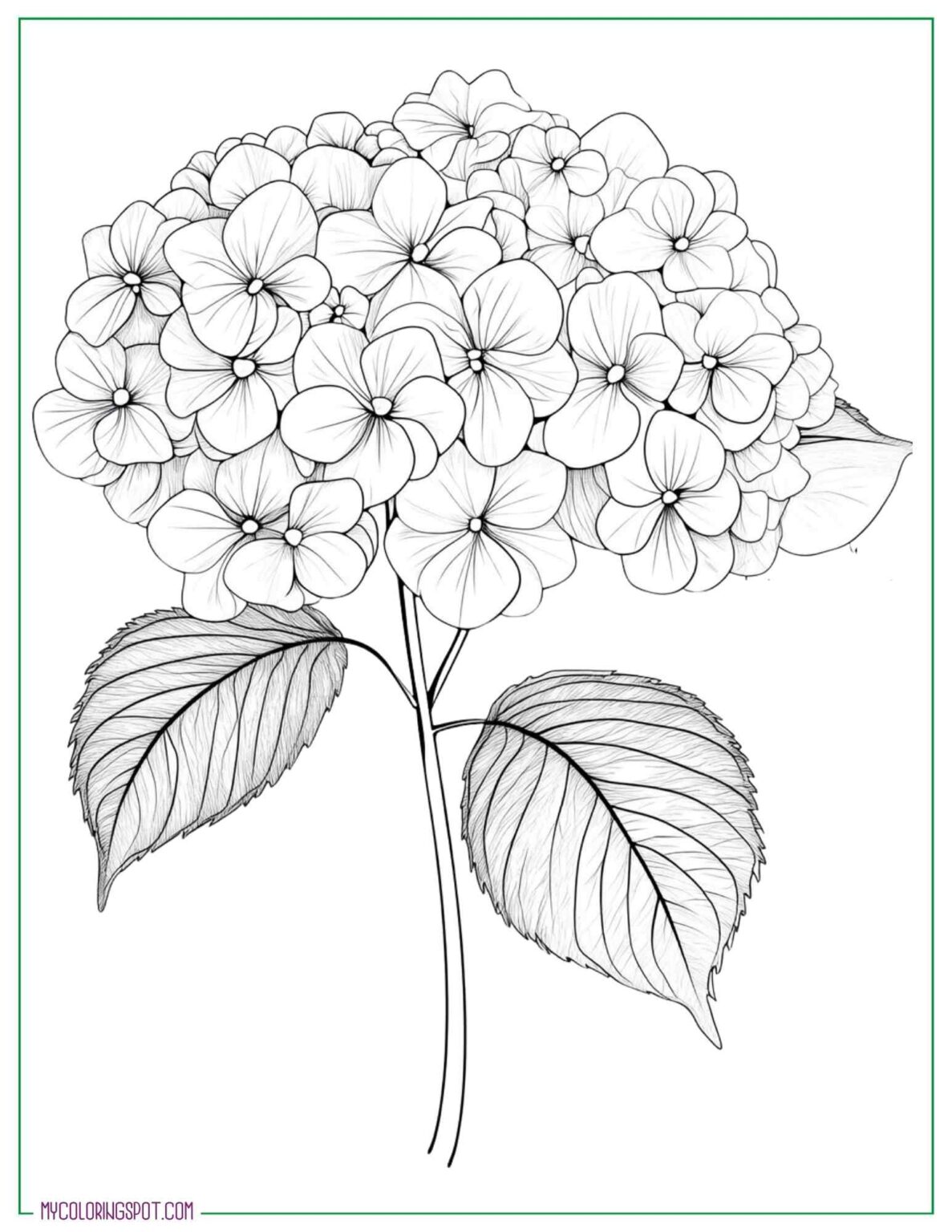 58 Free Flower Coloring Pages for All Ages – My Coloring Spot