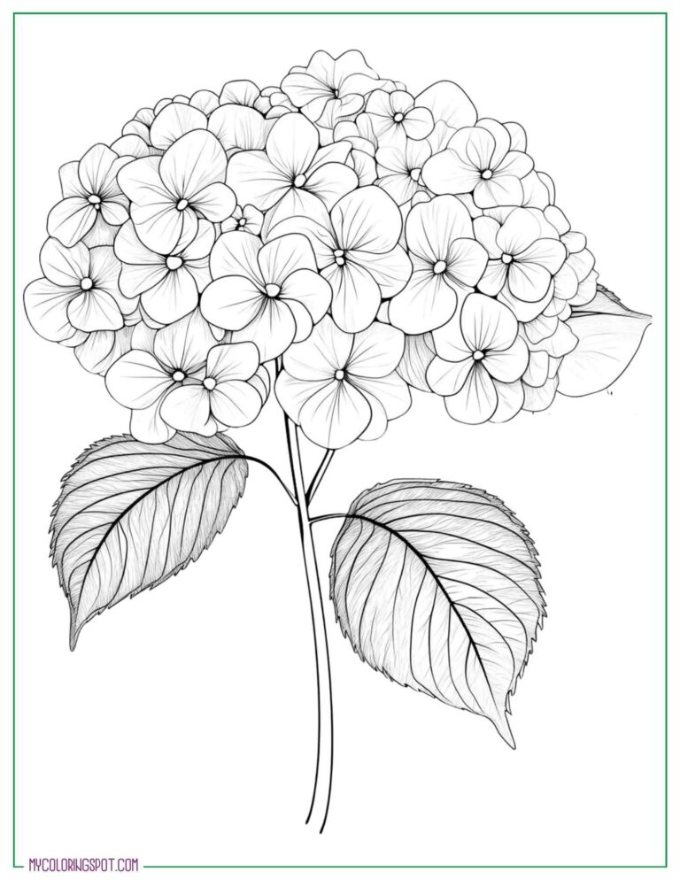 58 Free Flower Coloring Pages for All Ages – My Coloring Spot
