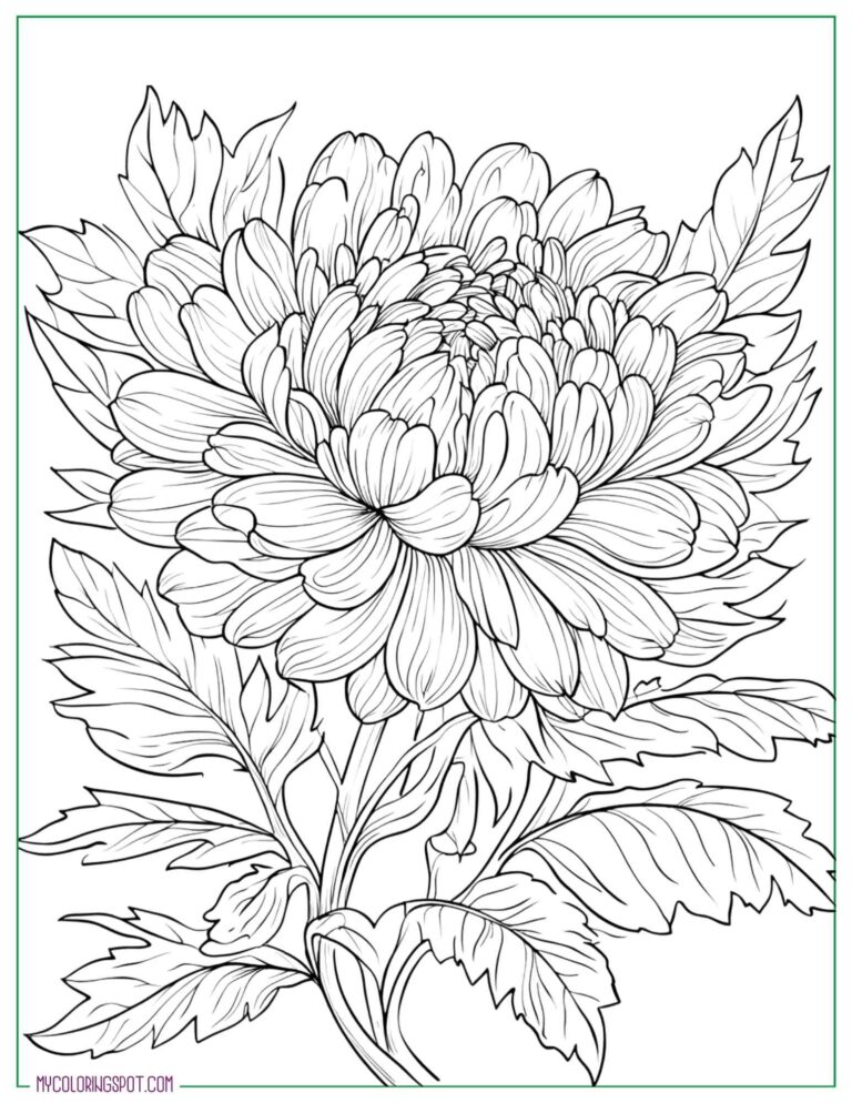 58 Free Flower Coloring Pages for All Ages – My Coloring Spot