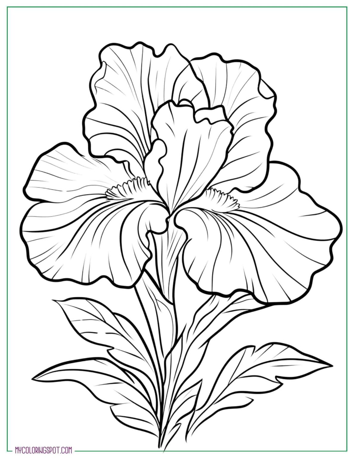58 Free Flower Coloring Pages for All Ages – My Coloring Spot