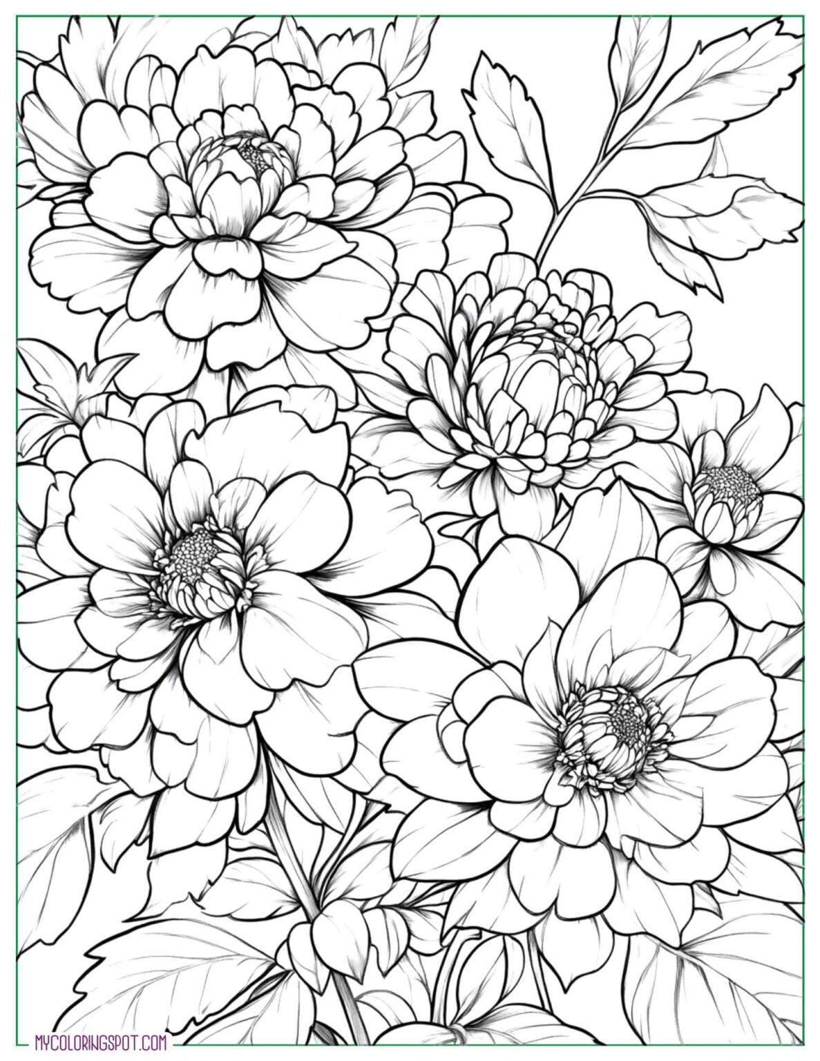 58 Free Flower Coloring Pages for All Ages – My Coloring Spot