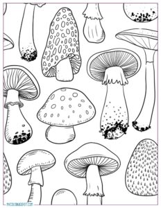 46 Whimsical Mushroom Coloring Pages for Relaxation and Fun – My ...