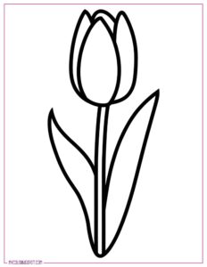 29 Easy Coloring Pages for Kids – My Coloring Spot