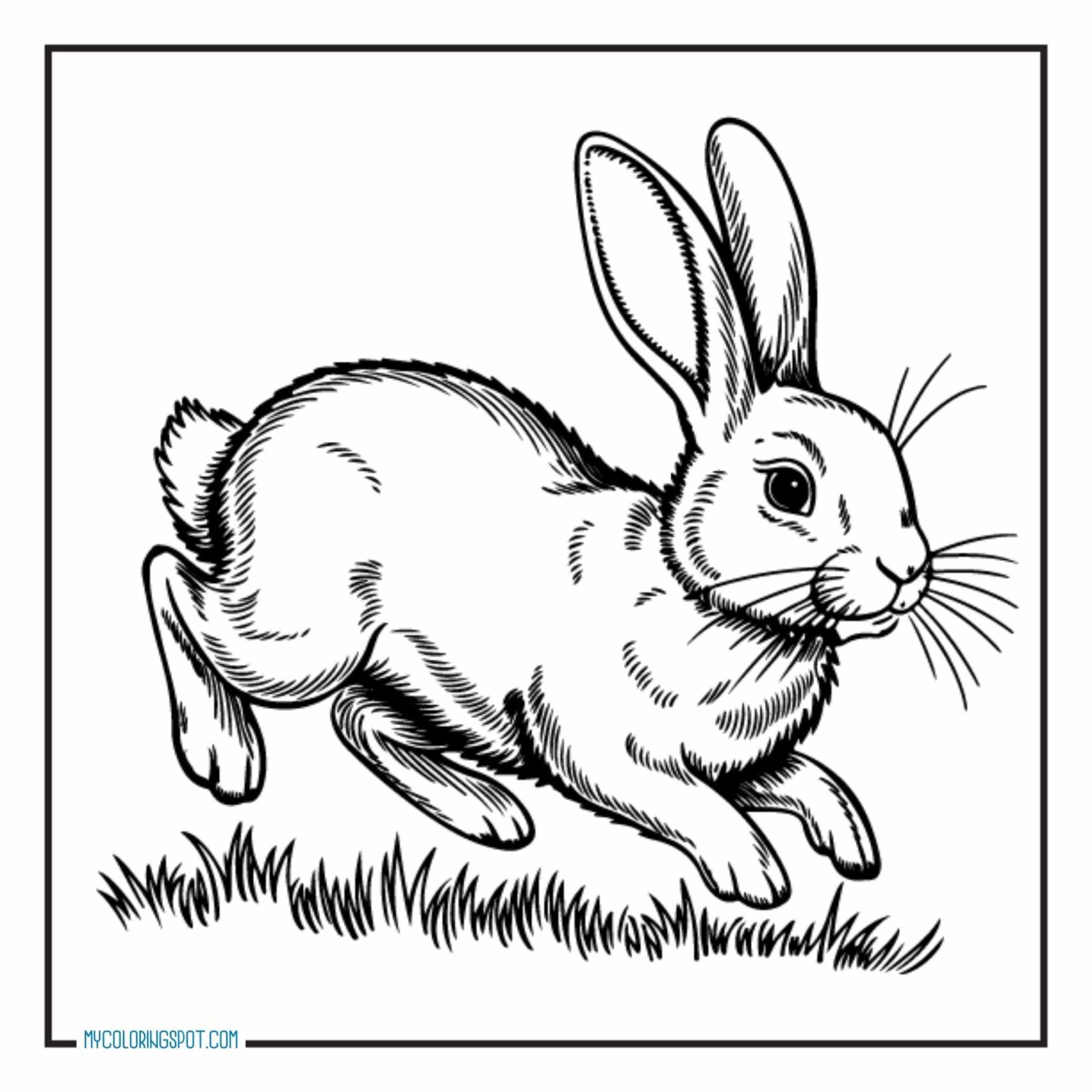 89 Free Farm Animal Coloring Pages the Kids Will Enjoy – My Coloring Spot